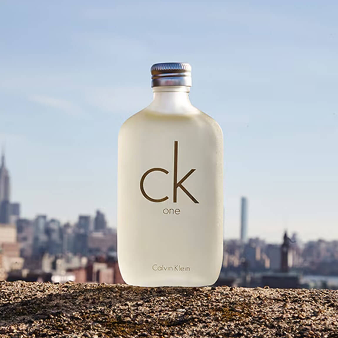 Calvin Klein CK One Eau de Toilette 100ml - Lavish Perfumes
